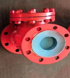 API 6A Swing Check Valve - SVR Global